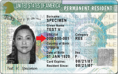 Alien Registration Number (ARN): What It Is and Why It Matters - Visa ...